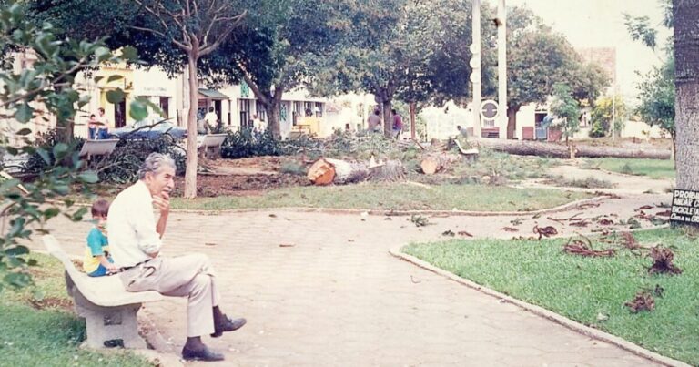 Terezinha Poly Sentado No Banco Da Praça O Popular Do Paraná 3396